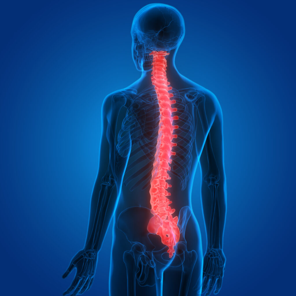 Back pain is not normal. Read our Ultimate Guide to Back Pain Relief